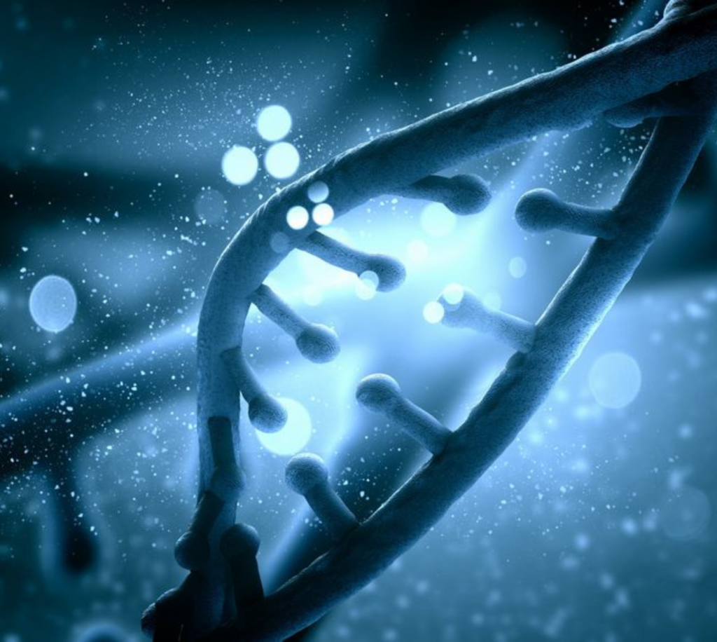 Nos Réalisations - Think Agency agence de communication